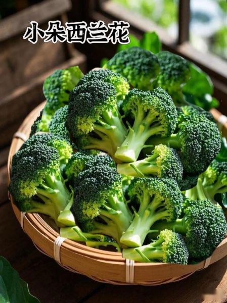 西兰花不适合什么人吃_痛风患者能吃吗-第1张图片-山城妙识