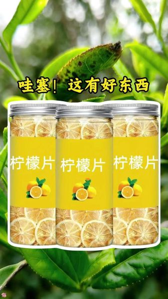 干柠檬片泡水正确方法_干柠檬片泡水水温多少度-第3张图片-山城妙识 干柠檬片泡水正确方法_干柠檬片泡水水温多少度-第3张图片-山城妙识
