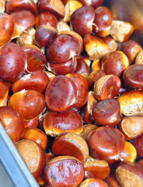 剥生板栗皮的最快方法_生板栗怎么去皮最快-第1张图片-山城妙识 剥生板栗皮的最快方法_生板栗怎么去皮最快-第1张图片-山城妙识