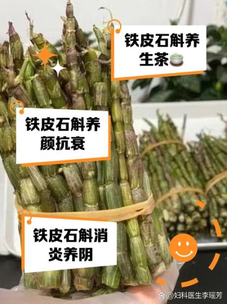 石斛的功效与禁忌有哪些_石斛适合什么人吃-第2张图片-山城妙识 石斛的功效与禁忌有哪些_石斛适合什么人吃-第2张图片-山城妙识