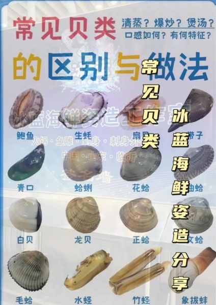 海鲜种类价格大全图片_哪些海鲜最贵-第2张图片-山城妙识 海鲜种类价格大全图片_哪些海鲜最贵-第2张图片-山城妙识
