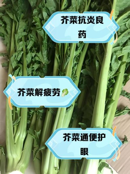 大叶芥菜的功效与作用_怎么吃最营养-第2张图片-山城妙识 大叶芥菜的功效与作用_怎么吃最营养-第2张图片-山城妙识