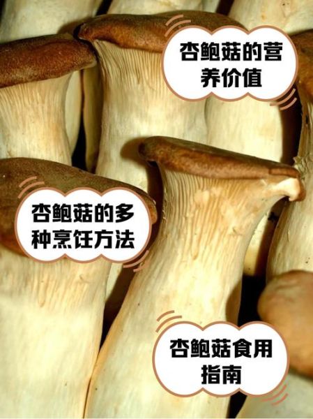 杏鲍菇有毒吗_杏鲍菇中毒症状-第1张图片-山城妙识