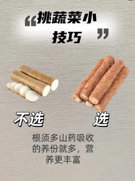 山药图片大全高清图片_如何挑选优质山药-第1张图片-山城妙识