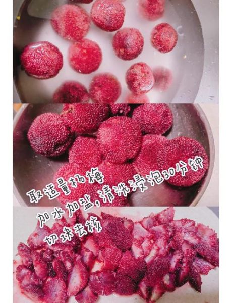 杨梅果汁怎么做_杨梅果汁的做法步骤-第1张图片-山城妙识 杨梅果汁怎么做_杨梅果汁的做法步骤-第1张图片-山城妙识