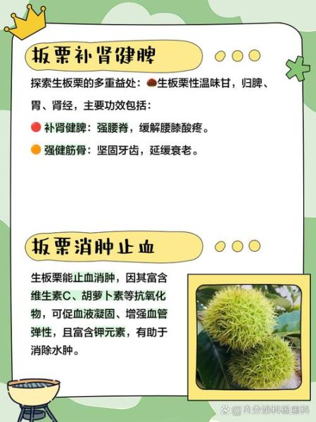 生吃板栗有什么好处_生吃板栗的功效与作用-第1张图片-山城妙识 生吃板栗有什么好处_生吃板栗的功效与作用-第1张图片-山城妙识