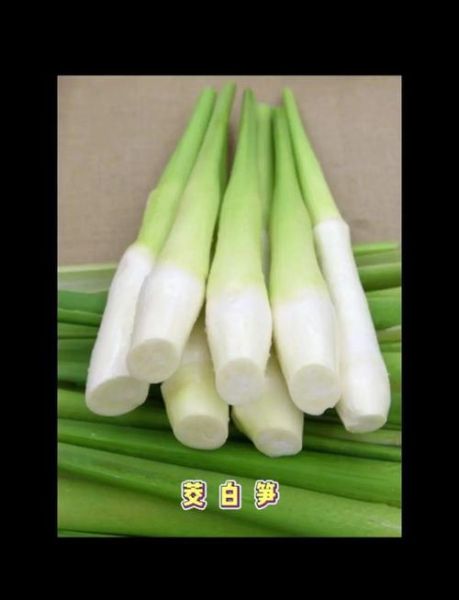 茭白是什么味道_茭白口感像什么-第1张图片-山城妙识