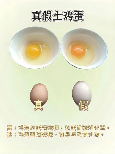 土鸡蛋和草鸡蛋的区别_哪个营养价值更高-第1张图片-山城妙识