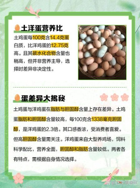 土鸡蛋和草鸡蛋的区别_哪个营养价值更高-第2张图片-山城妙识