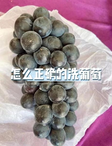 葡萄怎么洗才干净_葡萄怎么保存时间长-第1张图片-山城妙识