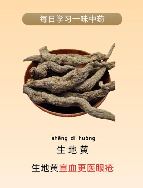 生地的功效与作用有哪些_生地主治什么病-第2张图片-山城妙识 生地的功效与作用有哪些_生地主治什么病-第2张图片-山城妙识