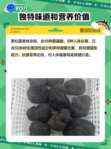 松露多少钱一斤_松露为什么这么贵-第3张图片-山城妙识 松露多少钱一斤_松露为什么这么贵-第3张图片-山城妙识