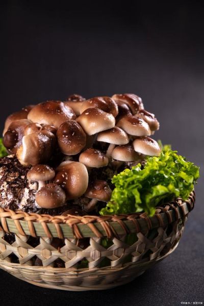 花菇和香菇哪个好吃_口感区别大吗-第3张图片-山城妙识