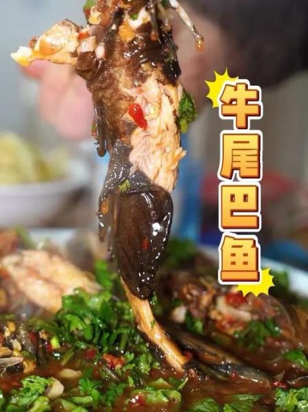 牛尾巴鱼怎么做好吃_牛尾巴鱼做法大全-第3张图片-山城妙识 牛尾巴鱼怎么做好吃_牛尾巴鱼做法大全-第3张图片-山城妙识