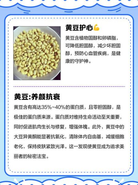女人吃黄豆有什么好处_女性每天吃多少黄豆合适-第1张图片-山城妙识