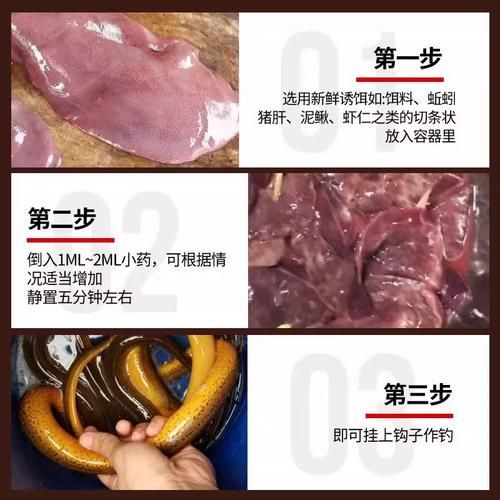 钓黄鳝用什么诱饵最好_晚上几点最容易钓到-第2张图片-山城妙识