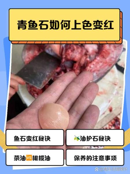 青鱼石价格多少钱_青鱼石真假怎么辨别-第3张图片-山城妙识