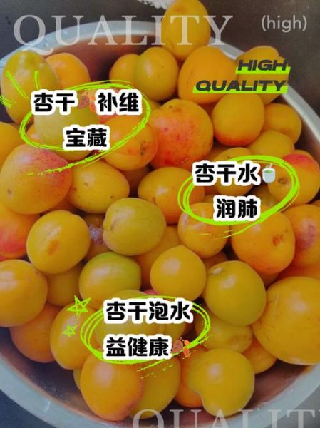 杏干的功效与作用_杏干吃多了有什么害处-第3张图片-山城妙识