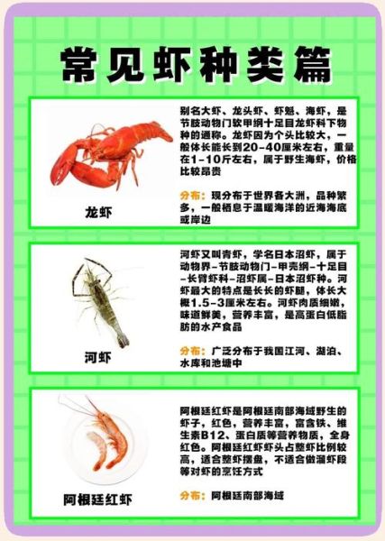 沼虾和明虾哪个好吃_沼虾和明虾口感区别-第3张图片-山城妙识 沼虾和明虾哪个好吃_沼虾和明虾口感区别-第3张图片-山城妙识