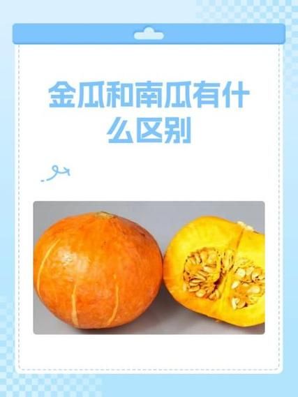 南瓜和倭瓜是一样的吗_区别与营养价值-第2张图片-山城妙识