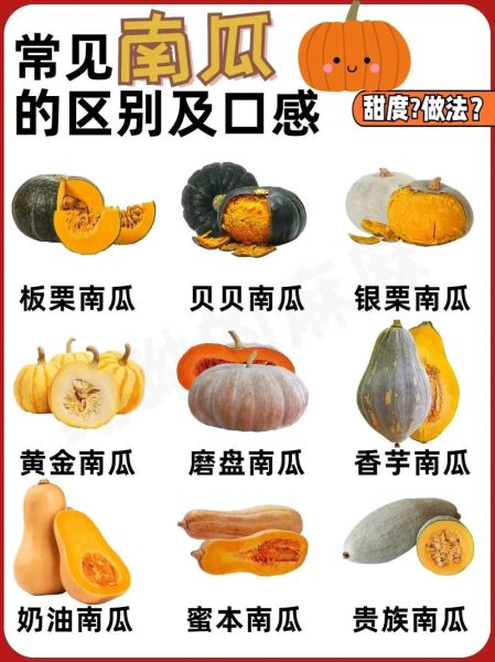 南瓜和倭瓜是一样的吗_区别与营养价值-第3张图片-山城妙识