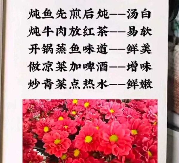 炒菜炖菜大全做法_新手如何快速上手-第2张图片-山城妙识