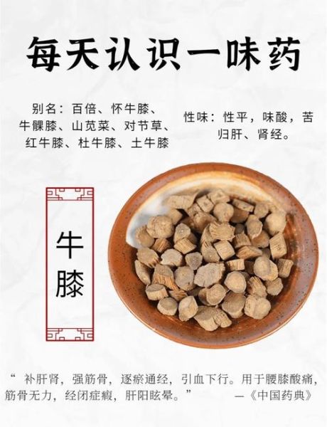 怀牛膝的功效与作用及禁忌_怀牛膝什么人不能吃-第1张图片-山城妙识
