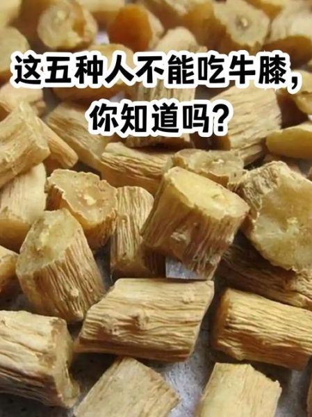 怀牛膝的功效与作用及禁忌_怀牛膝什么人不能吃-第2张图片-山城妙识