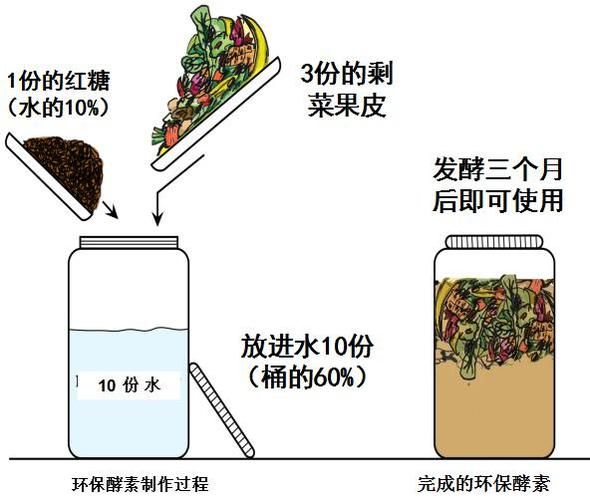 怎么做酵素最好_酵素制作步骤-第2张图片-山城妙识
