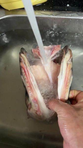 胖头鱼怎么做好吃_胖头鱼做法视频教程-第2张图片-山城妙识