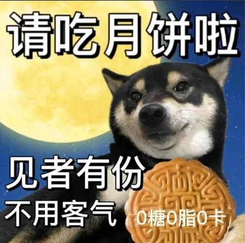 月饼图片搞笑大全_月饼搞笑表情包怎么找-第3张图片-山城妙识