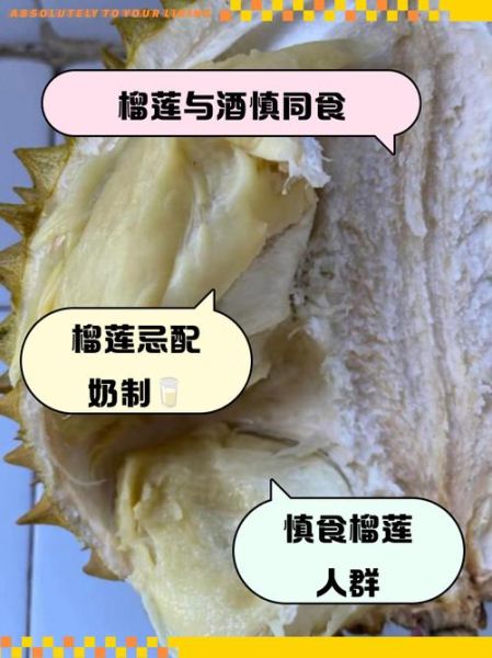 榴莲不能和什么一起吃_吃榴莲的7大功效与禁忌-第3张图片-山城妙识 榴莲不能和什么一起吃_吃榴莲的7大功效与禁忌-第3张图片-山城妙识