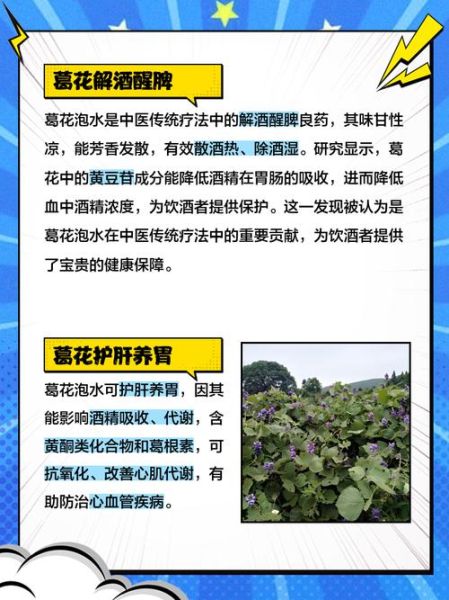 葛根花茶的功效与作用_葛根花茶怎么喝才有效-第1张图片-山城妙识