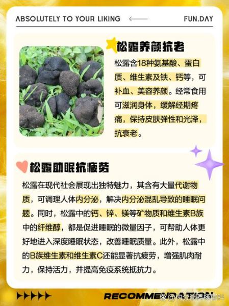 松露是什么东西_松露为什么这么贵-第3张图片-山城妙识