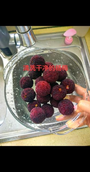 杨梅汁怎么做_杨梅汁怎么保存不变色-第2张图片-山城妙识