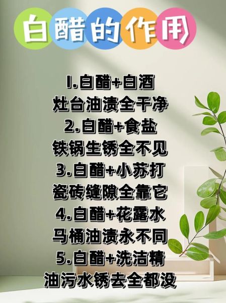 晚上怎么喝白醋减肥_白醋减肥的正确方法-第2张图片-山城妙识