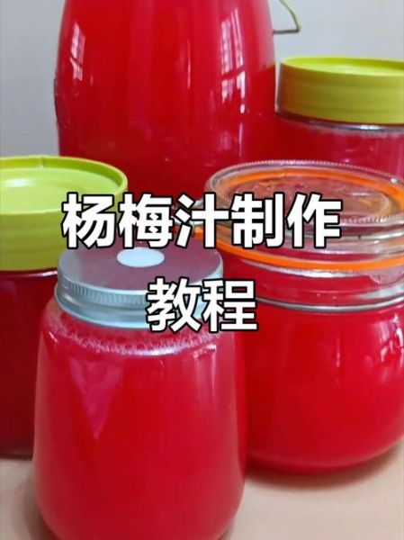 杨梅汁怎么做_杨梅汁怎么保存不变色-第1张图片-山城妙识