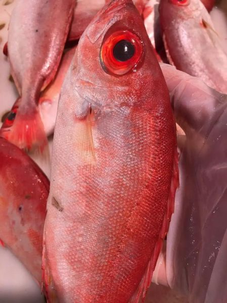 大眼鱼的做法_大眼鱼怎么做好吃-第2张图片-山城妙识