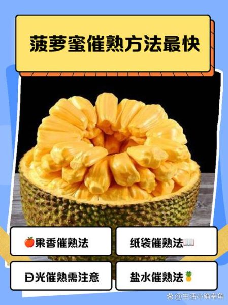 菠萝蜜一晚上怎么催熟_最快方法-第1张图片-山城妙识