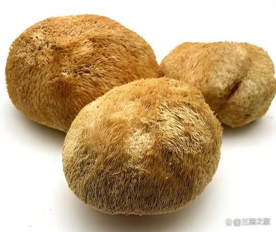 干的猴头菇怎么做好吃_猴头菇泡发技巧-第1张图片-山城妙识 干的猴头菇怎么做好吃_猴头菇泡发技巧-第1张图片-山城妙识