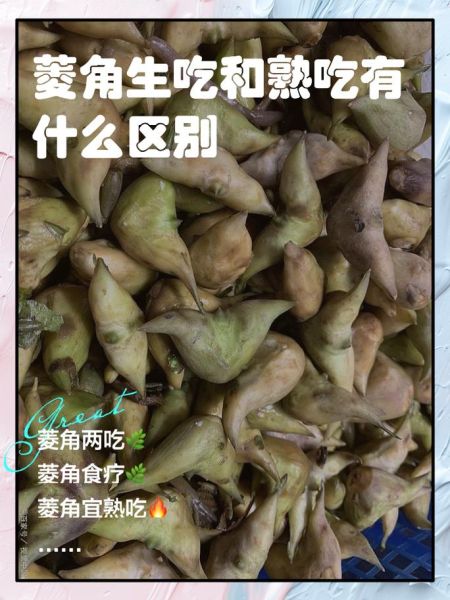 野菱角长什么样_野菱角能吃吗-第2张图片-山城妙识 野菱角长什么样_野菱角能吃吗-第2张图片-山城妙识