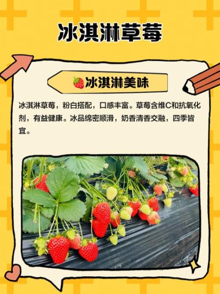 草莓冰激凌什么歌_歌词含义解析-第1张图片-山城妙识 草莓冰激凌什么歌_歌词含义解析-第1张图片-山城妙识