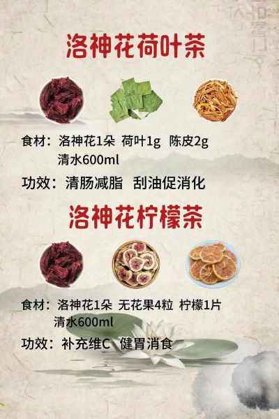 洛神花有什么功效_洛神花怎么搭配喝-第3张图片-山城妙识