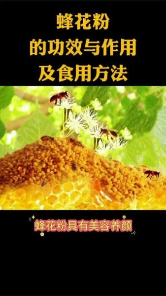 蜂蜜花粉的功效与作用_蜂蜜花粉适合什么人吃-第3张图片-山城妙识