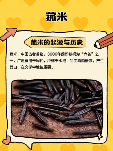 菰米和茭白是什么关系_菰米为什么变茭白-第3张图片-山城妙识