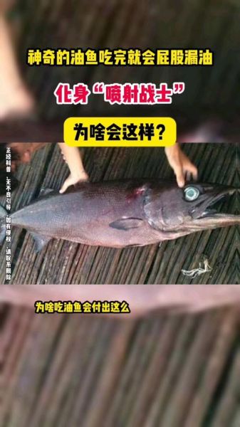 油鱼能吃吗_油鱼吃了会怎样-第1张图片-山城妙识 油鱼能吃吗_油鱼吃了会怎样-第1张图片-山城妙识