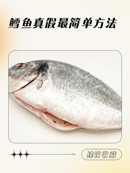 油鱼和鳕鱼的区别图片_怎么一眼分辨真假鳕鱼-第2张图片-山城妙识 油鱼和鳕鱼的区别图片_怎么一眼分辨真假鳕鱼-第2张图片-山城妙识