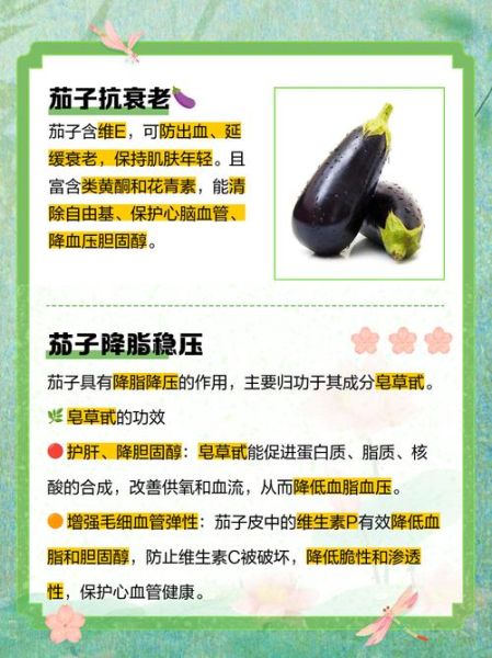 茄子有什么营养价值_吃茄子对身体有什么好处-第1张图片-山城妙识 茄子有什么营养价值_吃茄子对身体有什么好处-第1张图片-山城妙识
