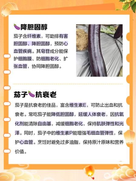 茄子有什么营养价值_吃茄子对身体有什么好处-第3张图片-山城妙识 茄子有什么营养价值_吃茄子对身体有什么好处-第3张图片-山城妙识