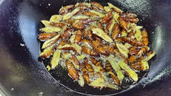 烤蚕蛹怎么吃_烤蚕蛹的做法大全-第2张图片-山城妙识 烤蚕蛹怎么吃_烤蚕蛹的做法大全-第2张图片-山城妙识
